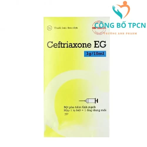 Ceftriaxone EG 1g/10ml Pymepharco - Điều trị các bệnh nhiễm khuẩn